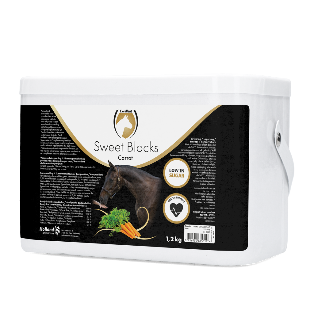 Sweet Carrot Blocks – PremiumHobby