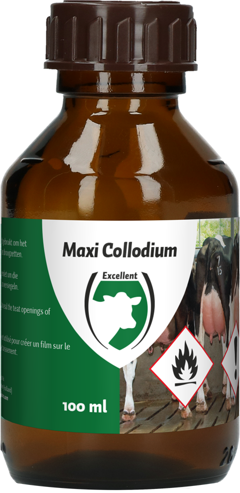 Maxi collodium – PremiumHobby